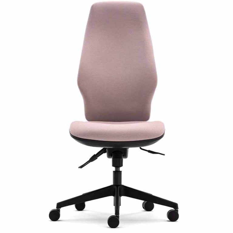 Torasen Orthopaedica 300 Series Back Care Chair | Best Value